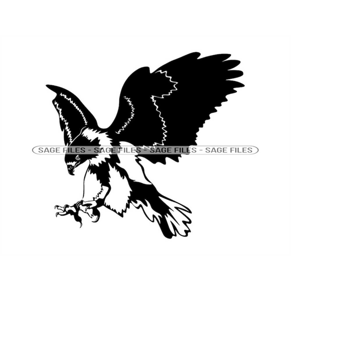 Hawk 5 SVG, Hawk SVG, Hawk PNG, Hawk Design, Hawk Clipart, H | Inspire ...