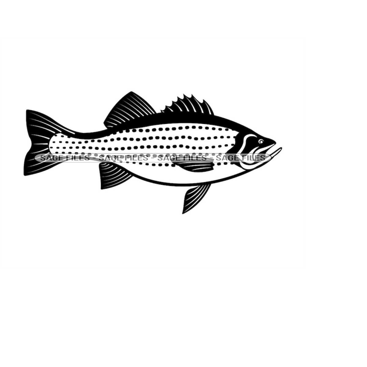 Striped Bass SVG, Fishing Svg, Fish Svg, Fishing Clipart, Fi | Inspire ...