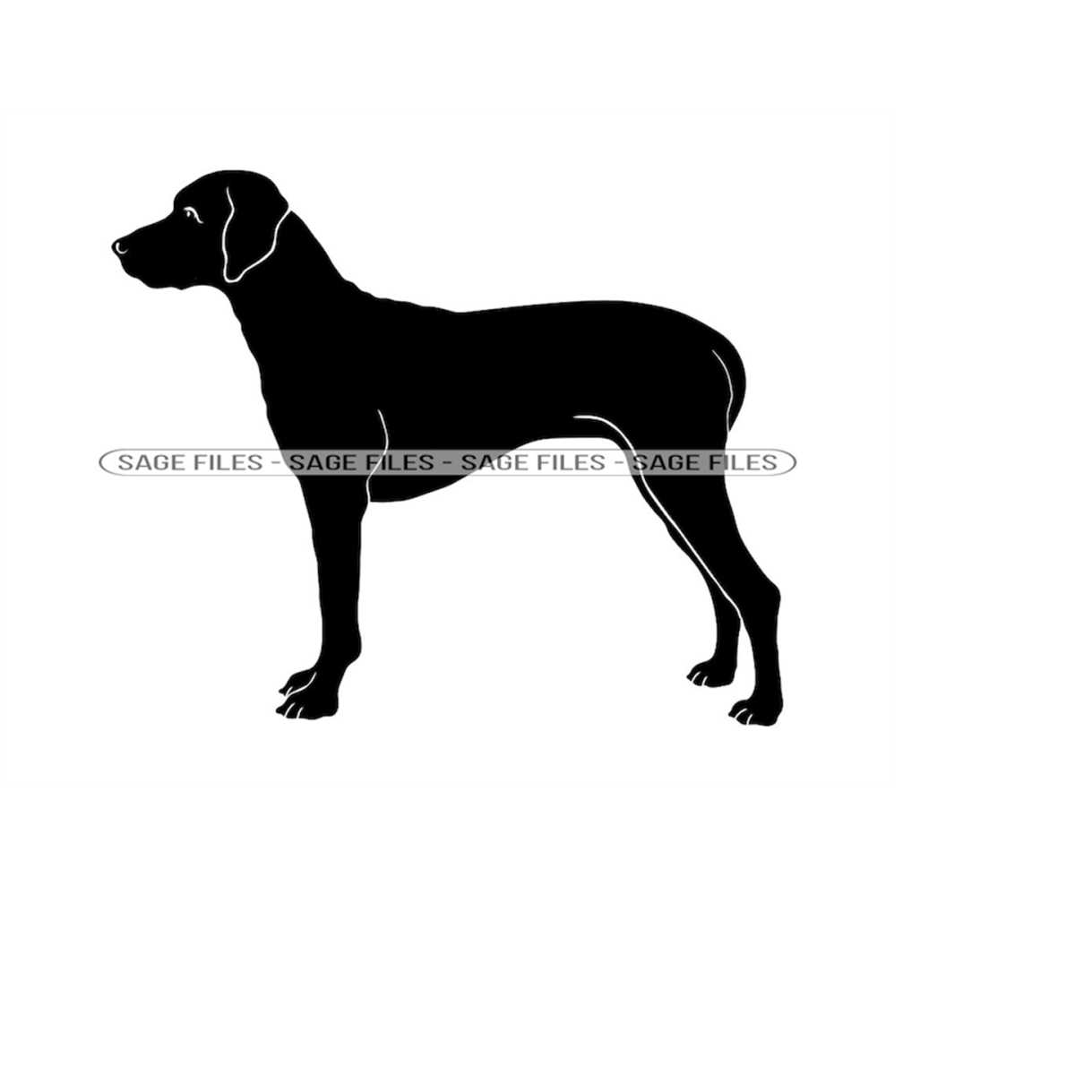 Rhodesian Ridgeback 2 SVG, Dog Svg, Rhodesian Ridgeback Clip - Inspire ...