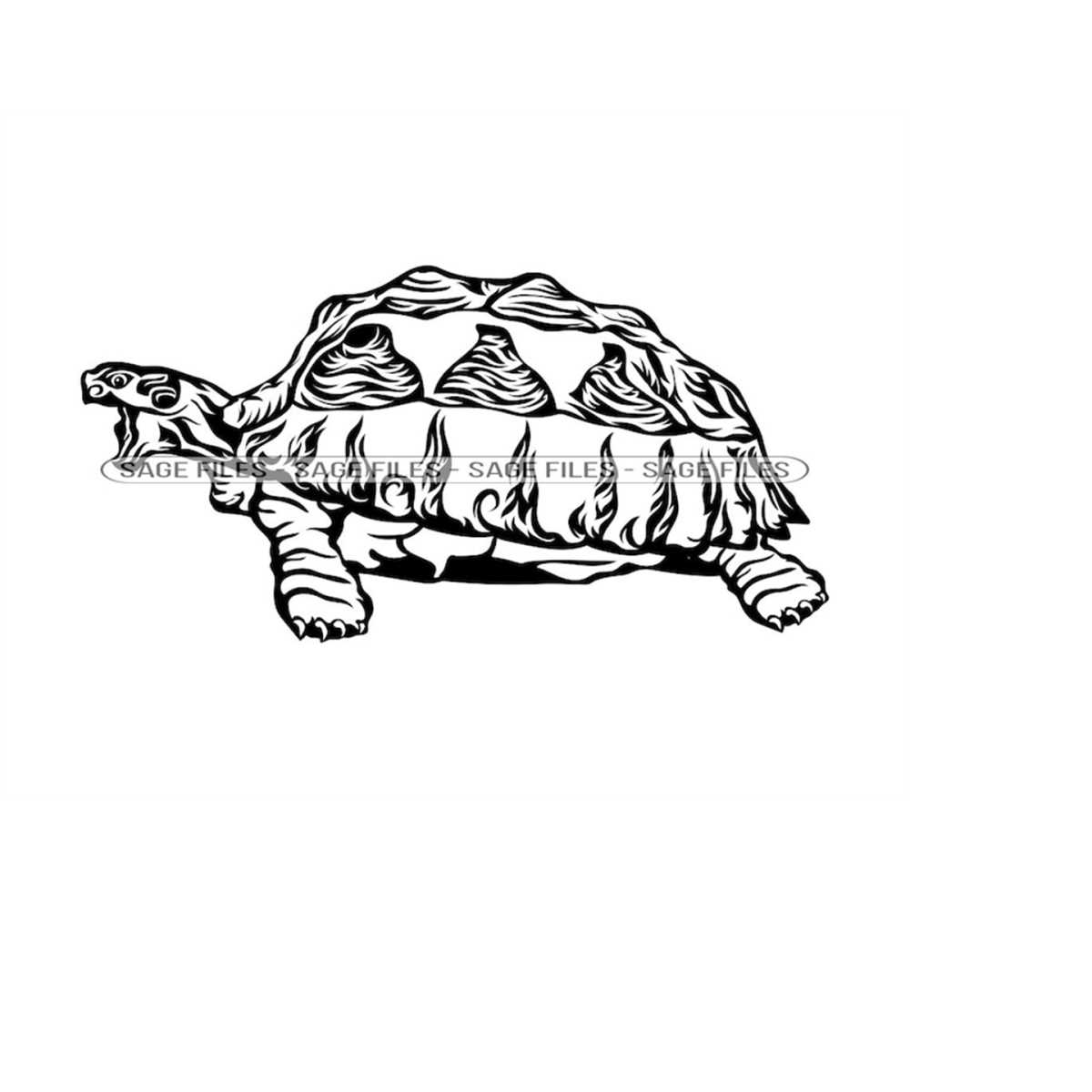 Angry Turtle SVG, Turtle Svg, Tortoise SVG, Turtle Clipart, | Inspire ...
