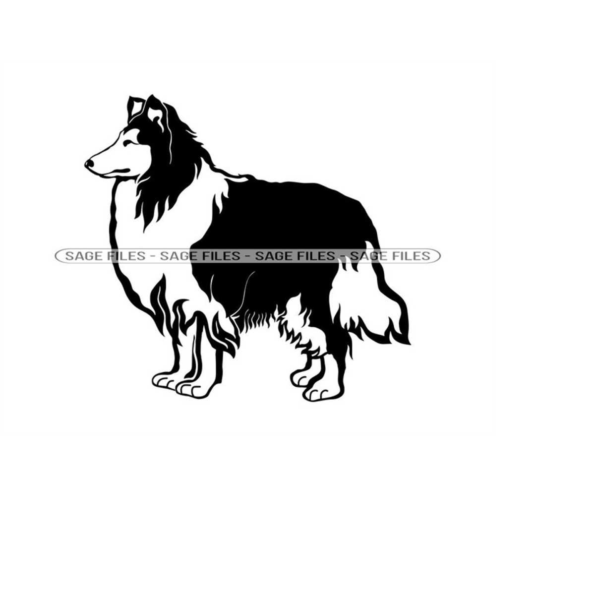 Collie SVG, Rough Collie Svg, Dog Svg, Collie Clipart, Colli | Inspire ...