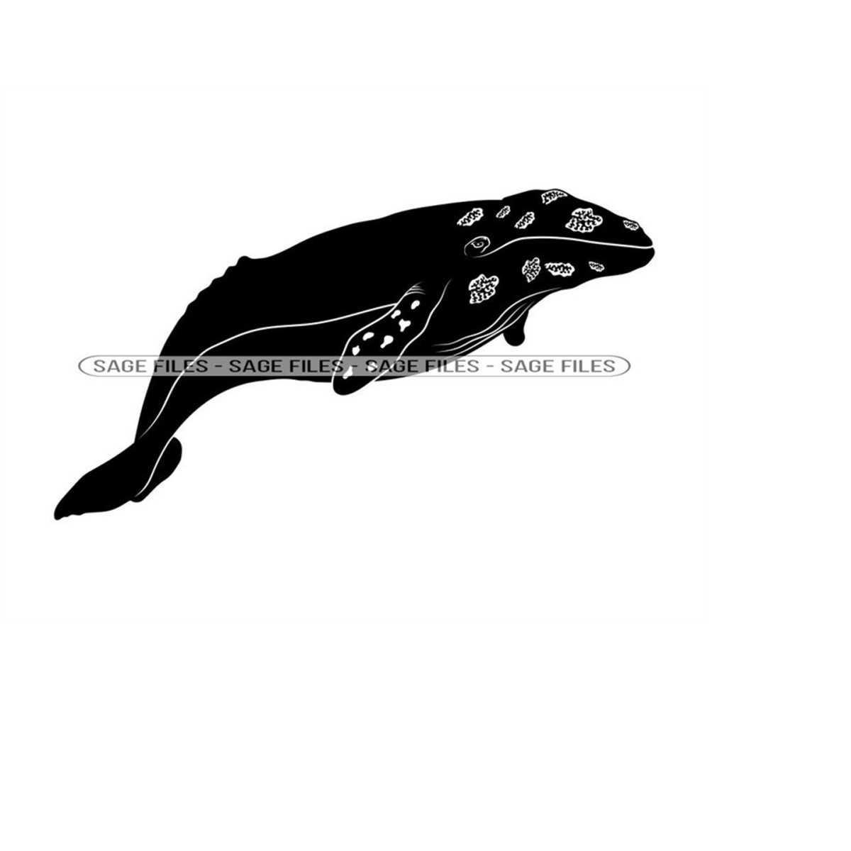 Gray Whale SVG, Whale SVG, Whale Clipart, Whale Files for Cr - Inspire ...