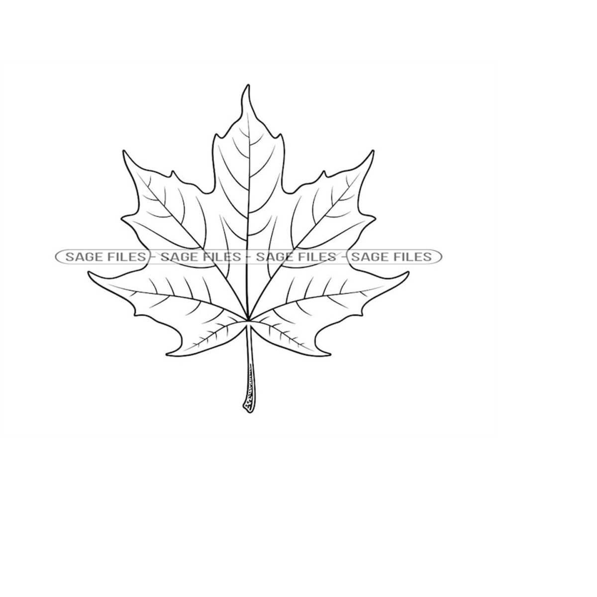 Maple Leaf Outline SVG, Maple Leaf Svg, Autumn Svg, Maple Le - Inspire ...