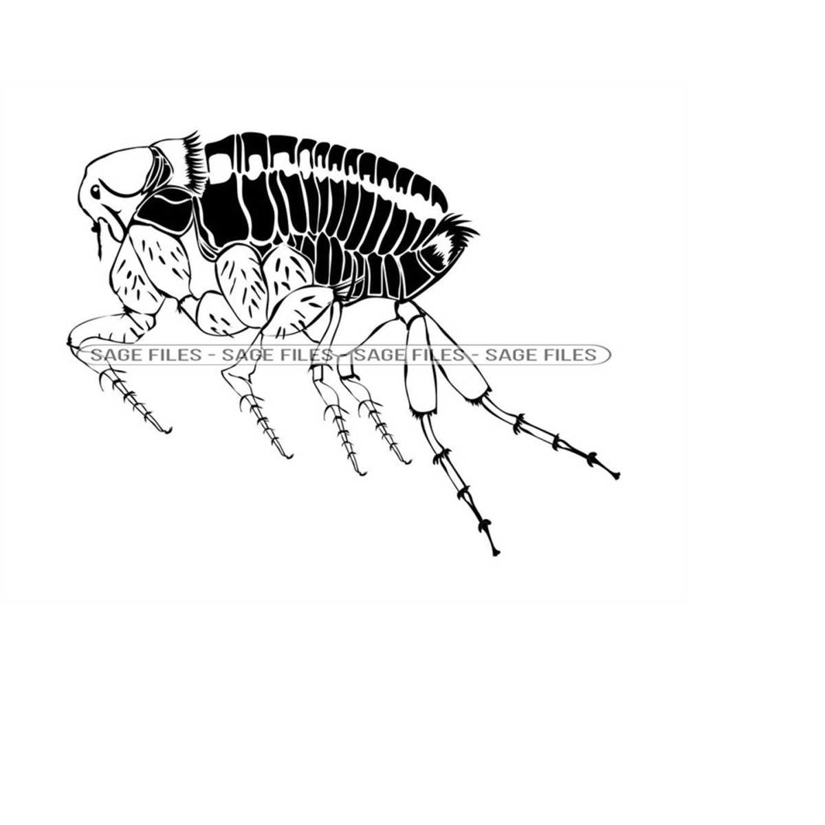 Flea SVG, Insect Svg, Bug Svg, Flea Clipart, Flea Files for - Inspire ...