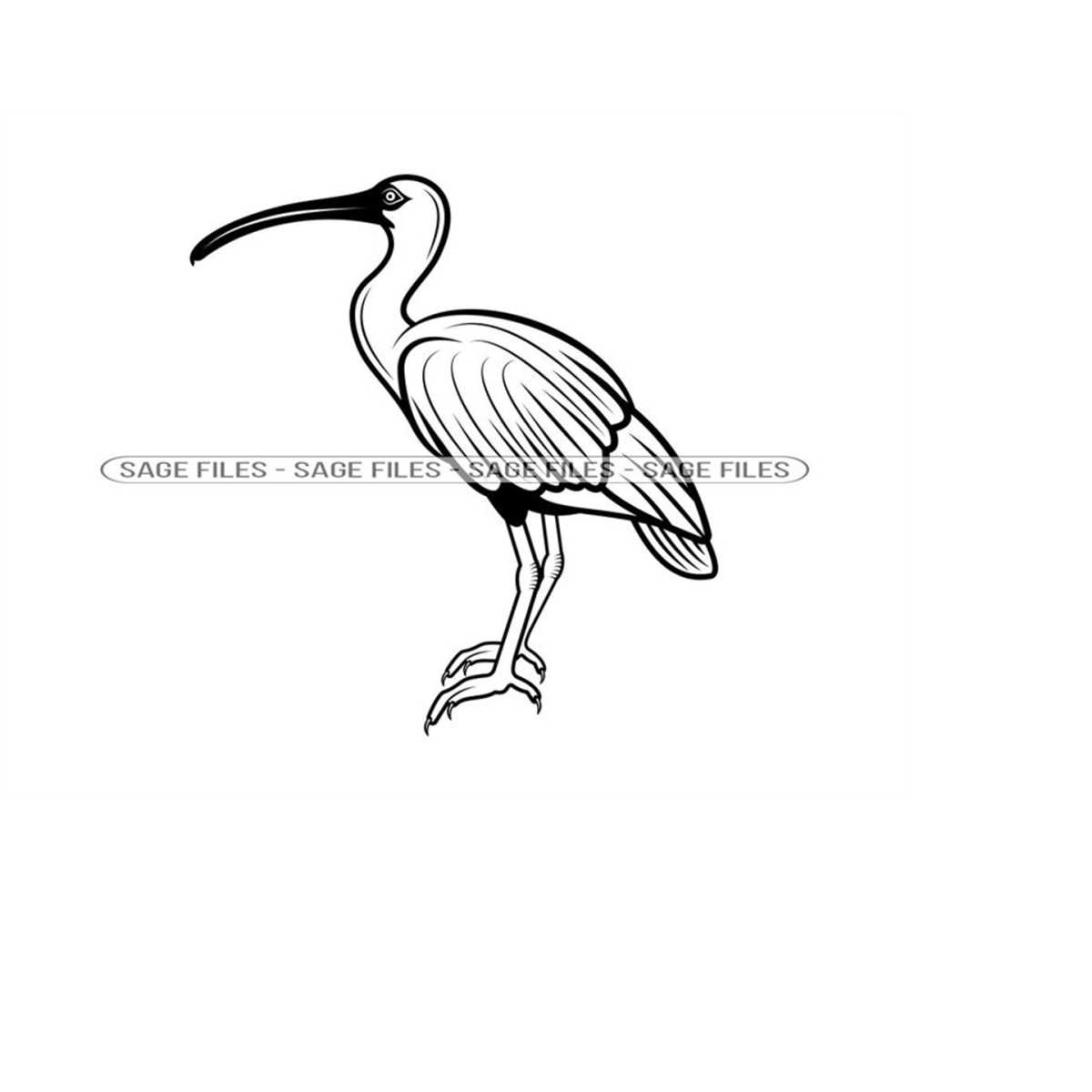Ibis SVG, Bird SVG, Ibis Clipart, Ibis Files for Cricut, Ibi - Inspire ...