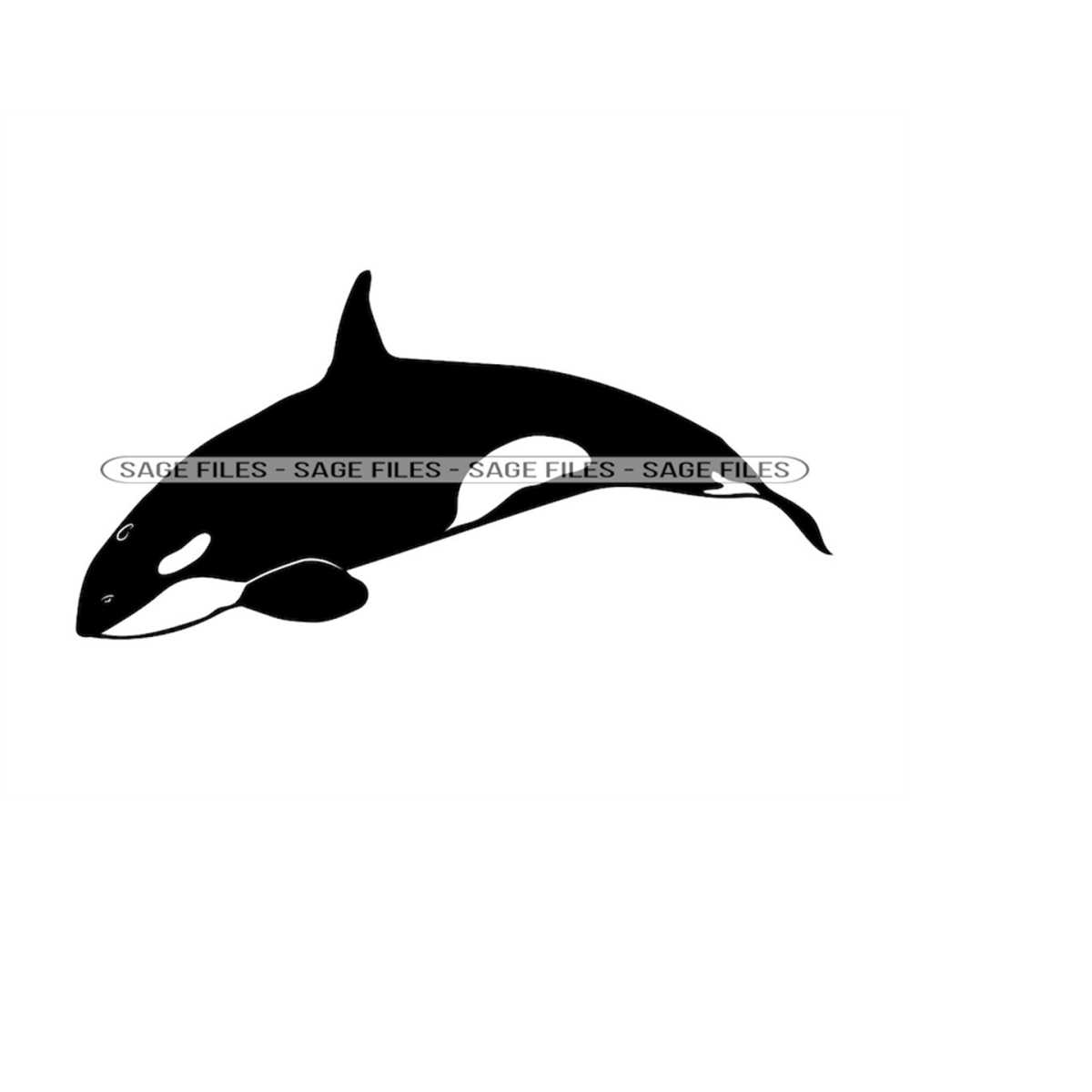 Killer Whale 5 SVG, Orca SVG, Killer Whale Clipart, Orca Cli | Inspire ...