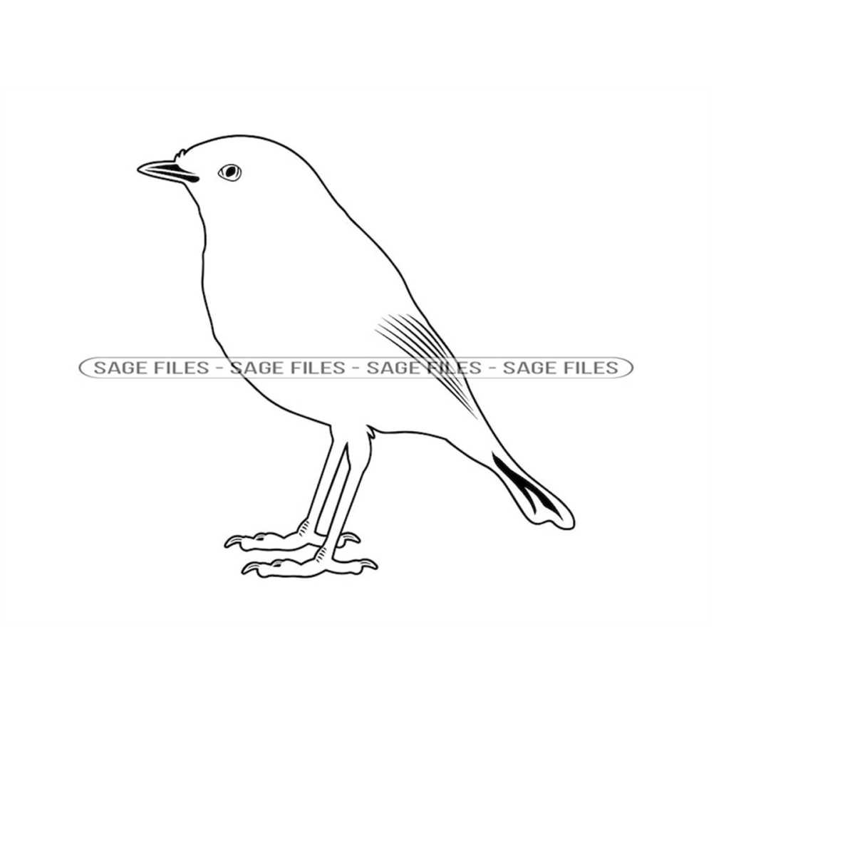 Robin Bird Outline SVG, Robin Bird SVG, Robin Bird Clipart, | Inspire ...