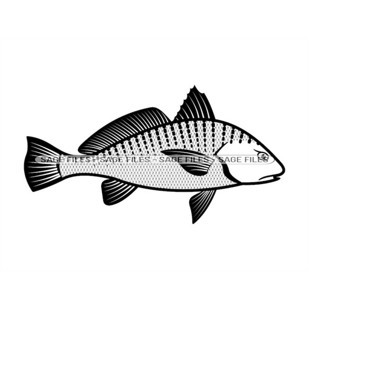 Atlantic Croaker SVG, Fishing Svg, Fish Svg, Fishing Clipart - Inspire ...