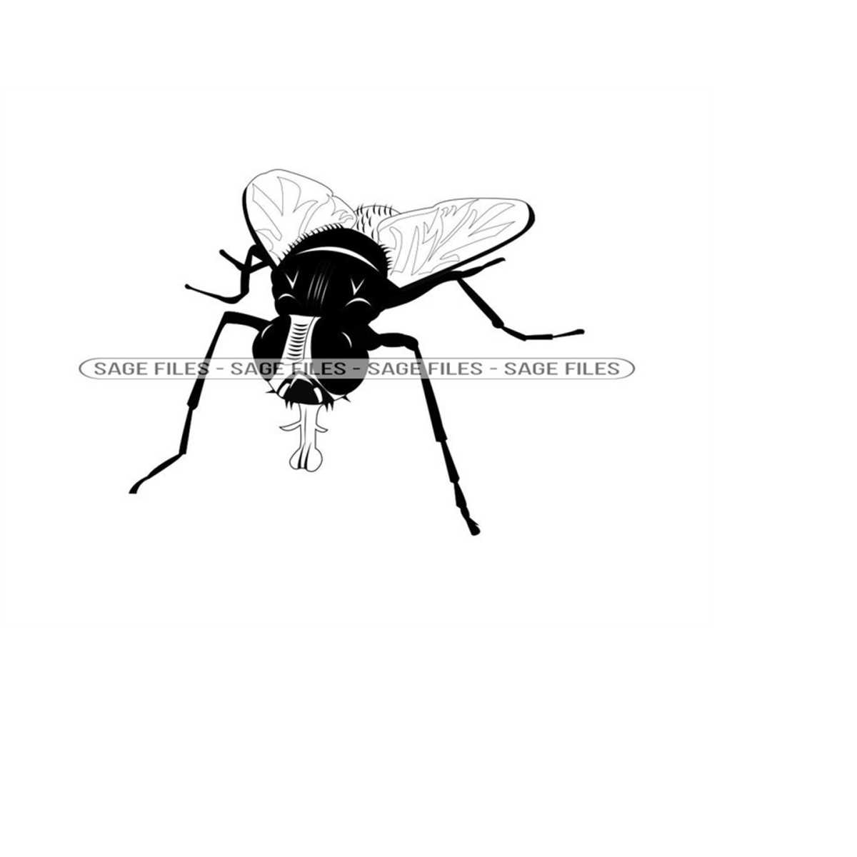 Fly 2 SVG, Fly Svg, Flies Svg, Insect Svg, Fly Clipart, Fly - Inspire ...