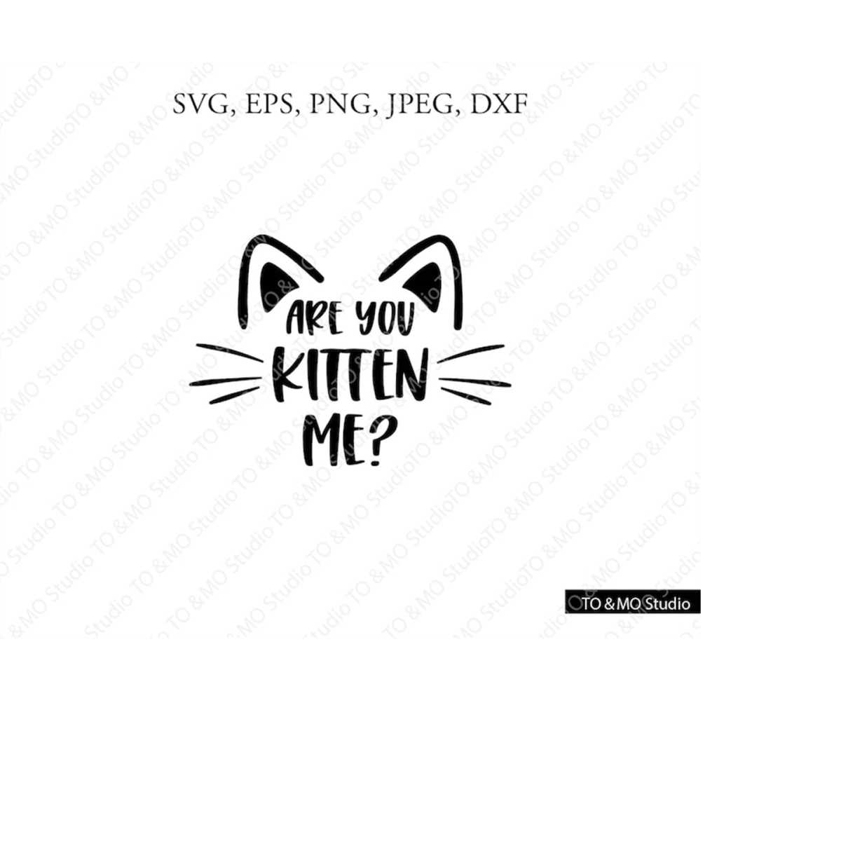 Cat SVG, Kitten SVG, Are you kitten me Svg, Cat Mom Svg, Cat | Inspire ...