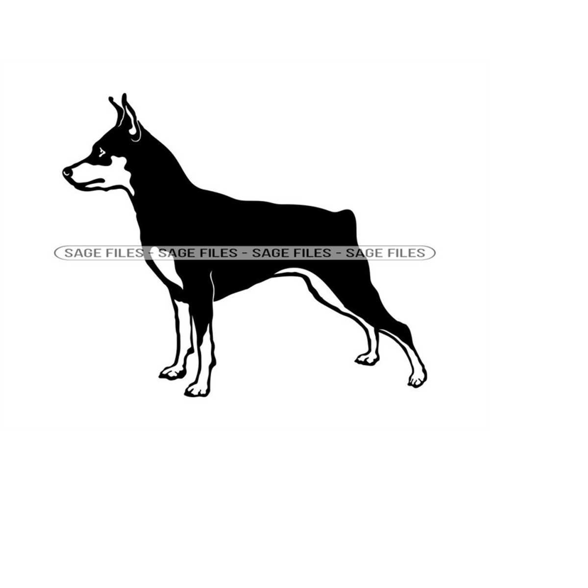 Miniature Pinscher SVG, Dog Svg, Miniature Pinscher Clipart, - Inspire ...