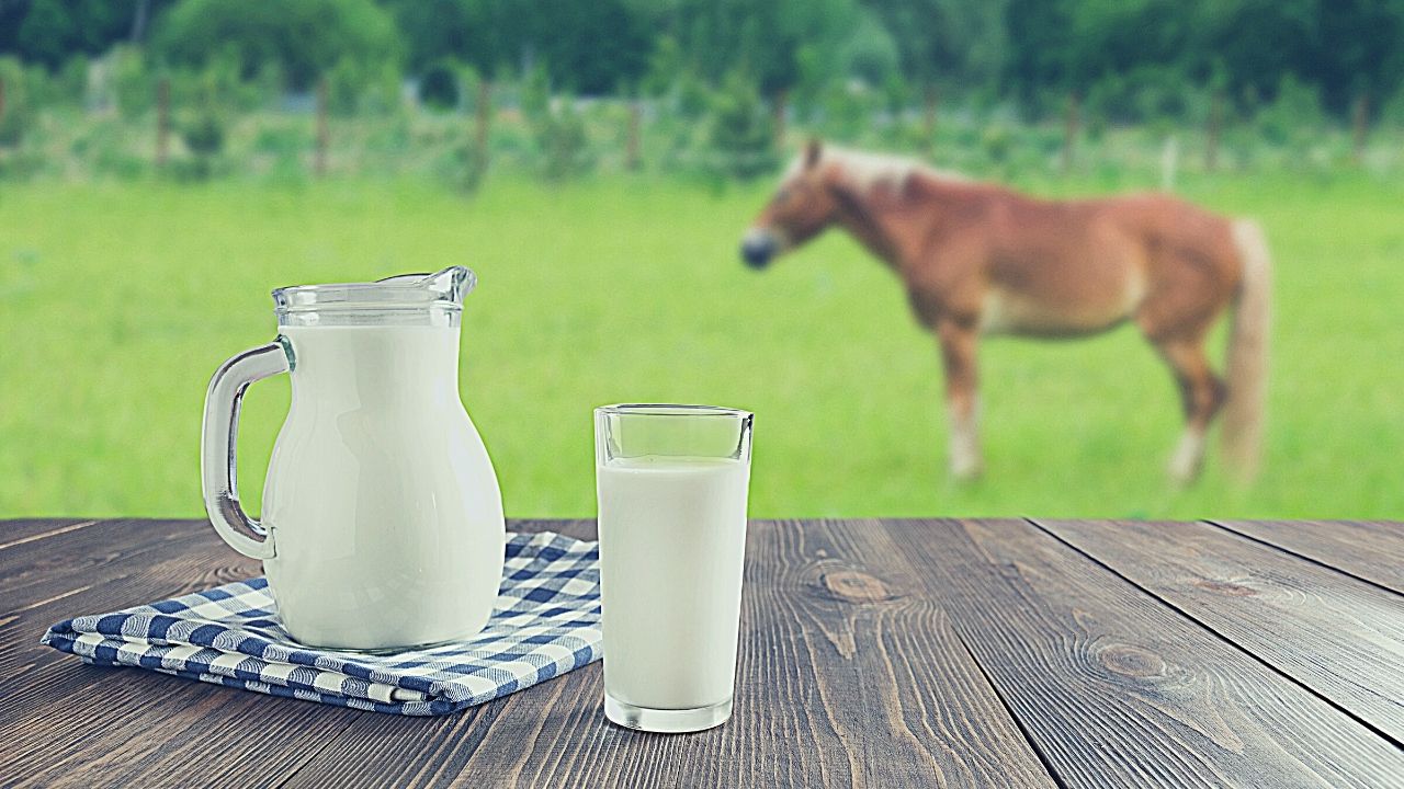 Mare's milk, dry milk hypoallergenic mixture, For mothers du | Inspire ...