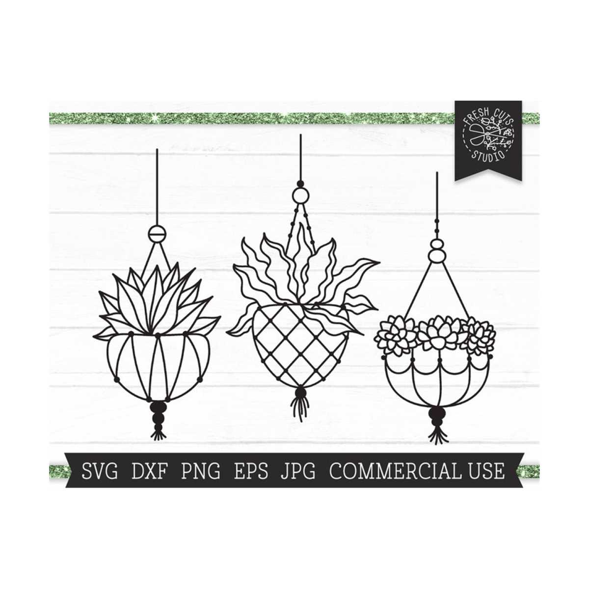 Cactus SVG, Succulent SVG Cut File for Cricut, Hanging Plant | Inspire ...