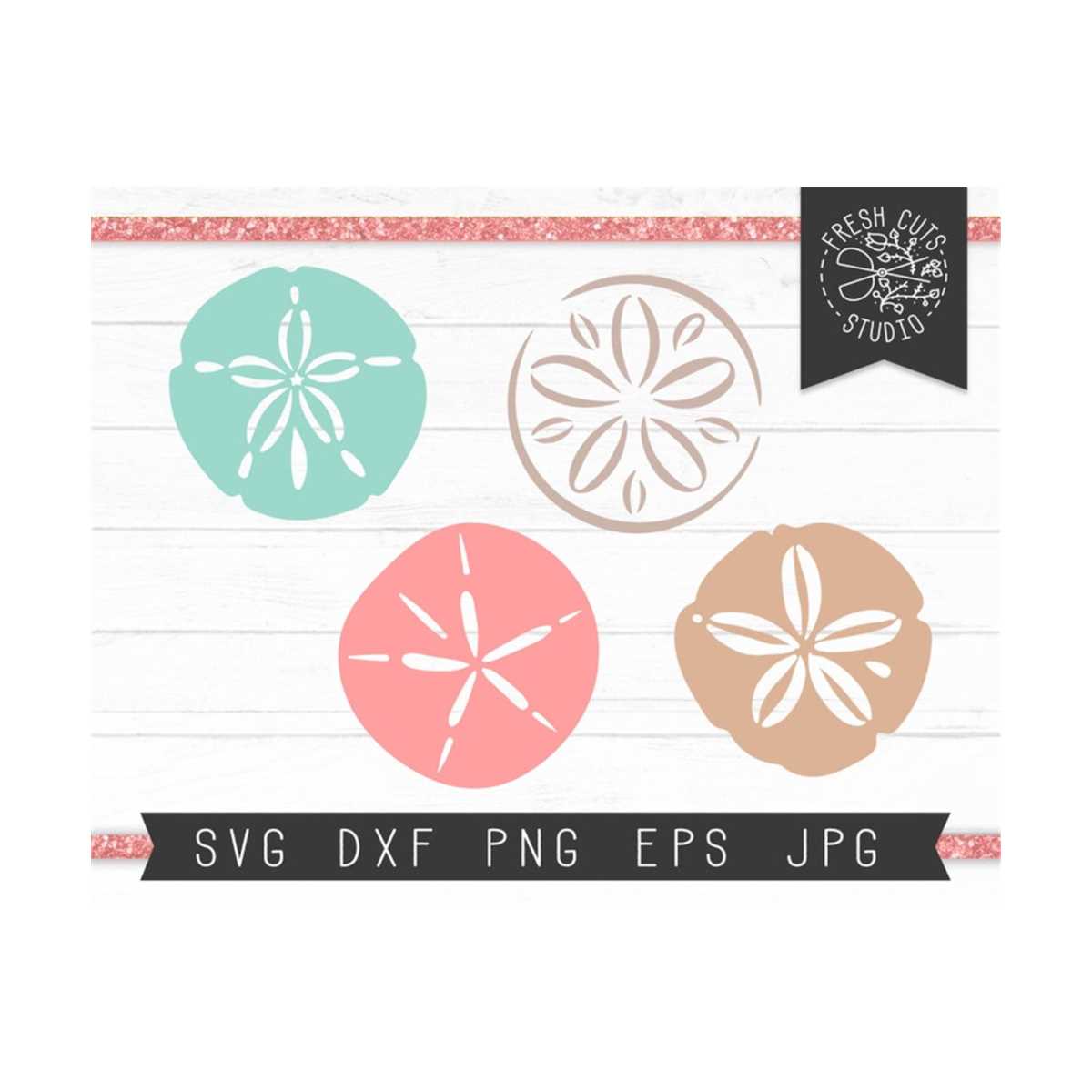 sand dollar svg - Inspire Uplift