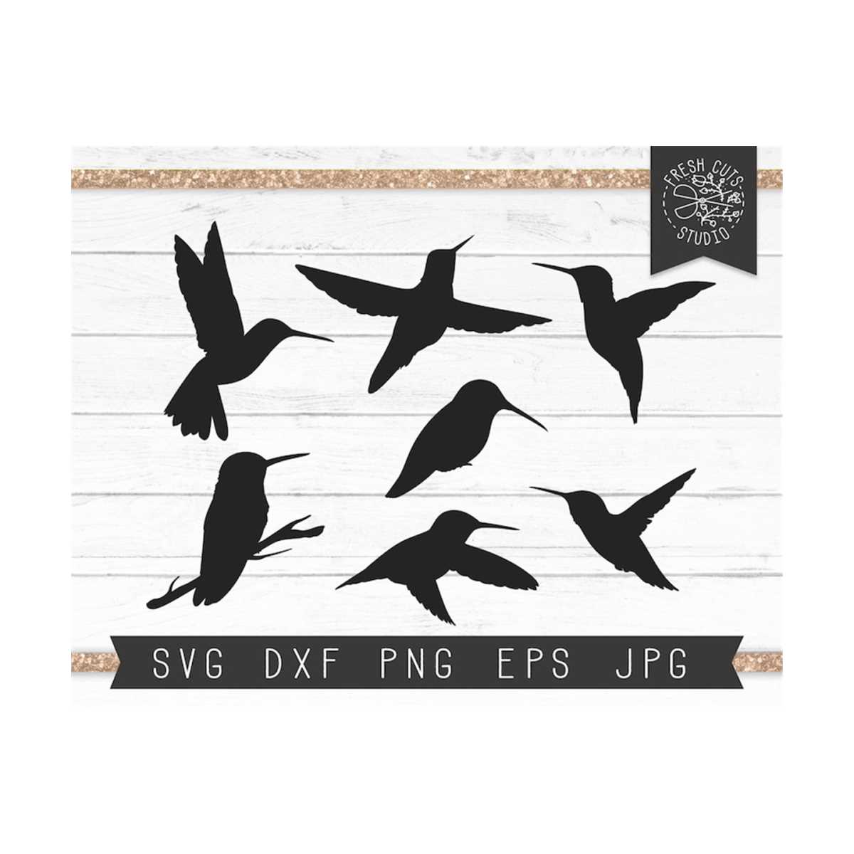 Hummingbird SVG File, Instant Download, Hummingbird Silhouet | Inspire ...