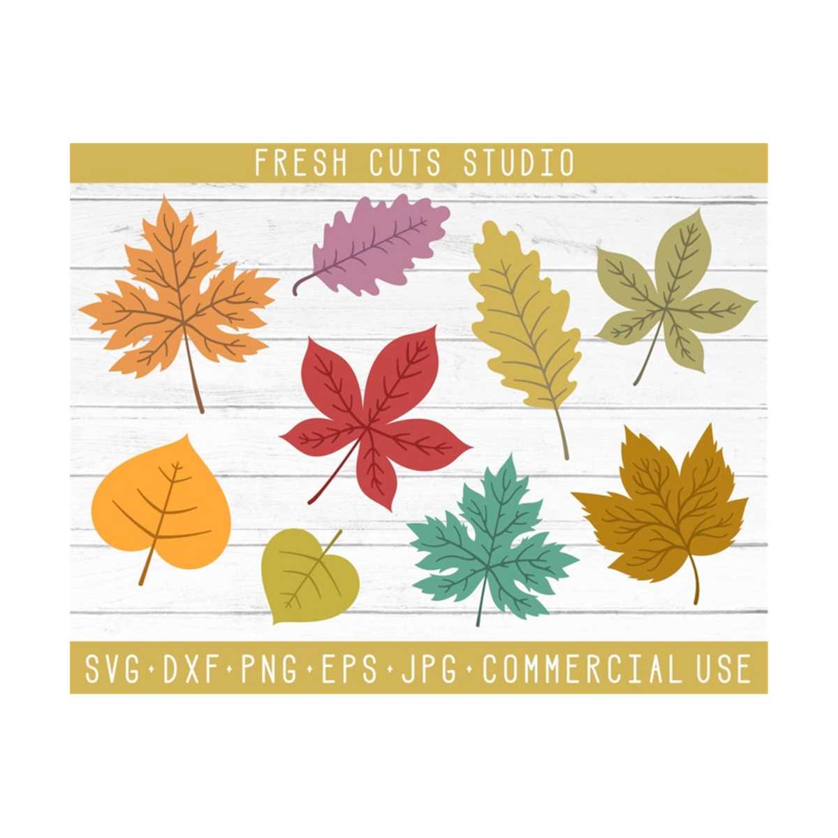 Fall Autumn Leaf SVG Leaves Instant Download Design, Commerc | Inspire ...