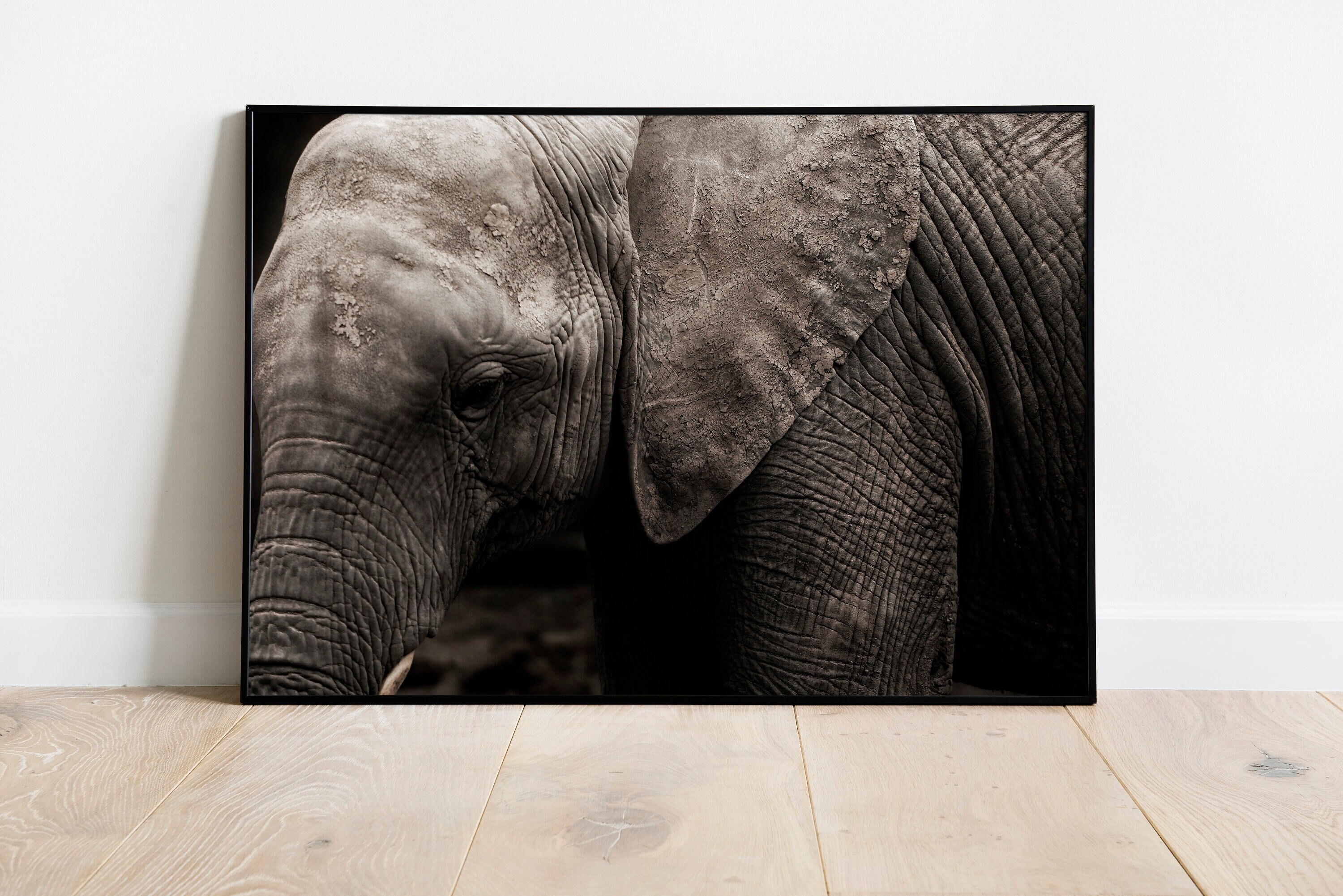 Elephant Photo Print, Wildlife Elephant Wall Art, Elephant P | Inspire ...