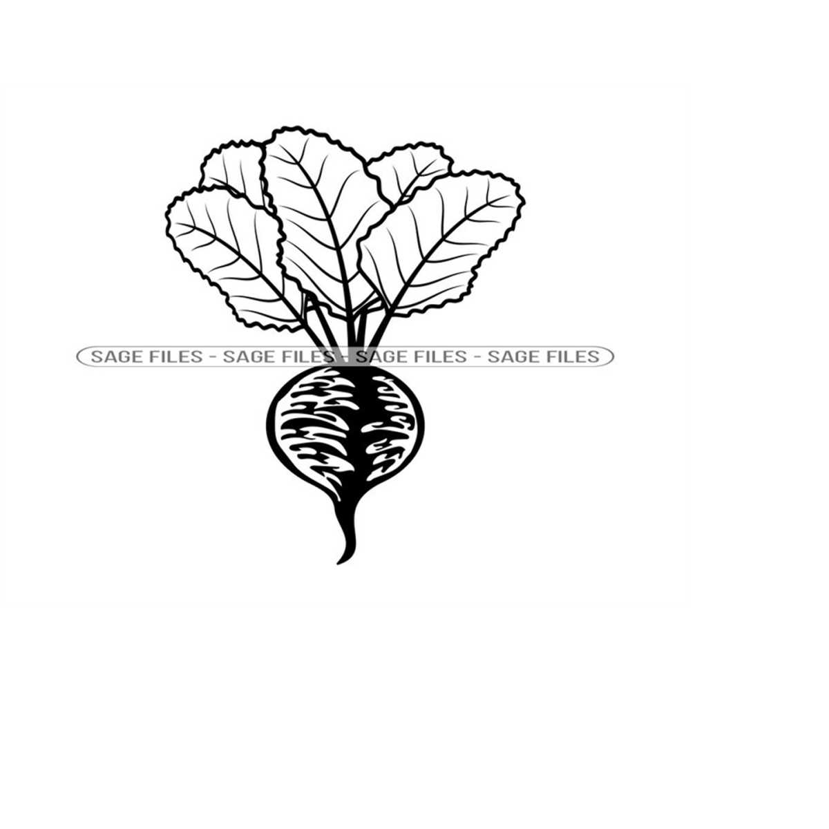 Beetroot 2 SVG, Beetroot SVG, Vegetable Svg, Beetroot Clipar - Inspire ...