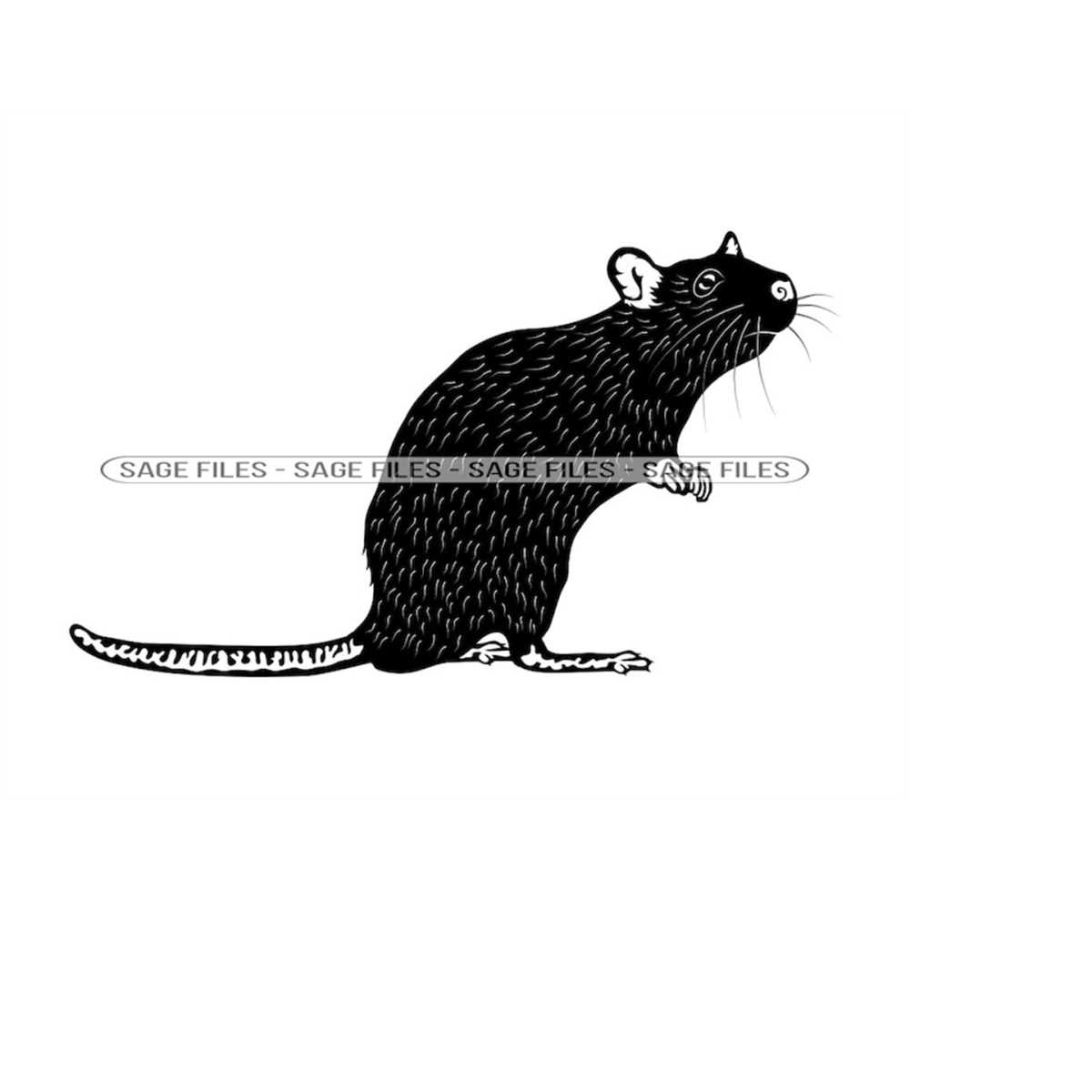Rat 3 SVG, Rat Svg, Rodent Svg, Rat Clipart, Rat Files for C - Inspire ...