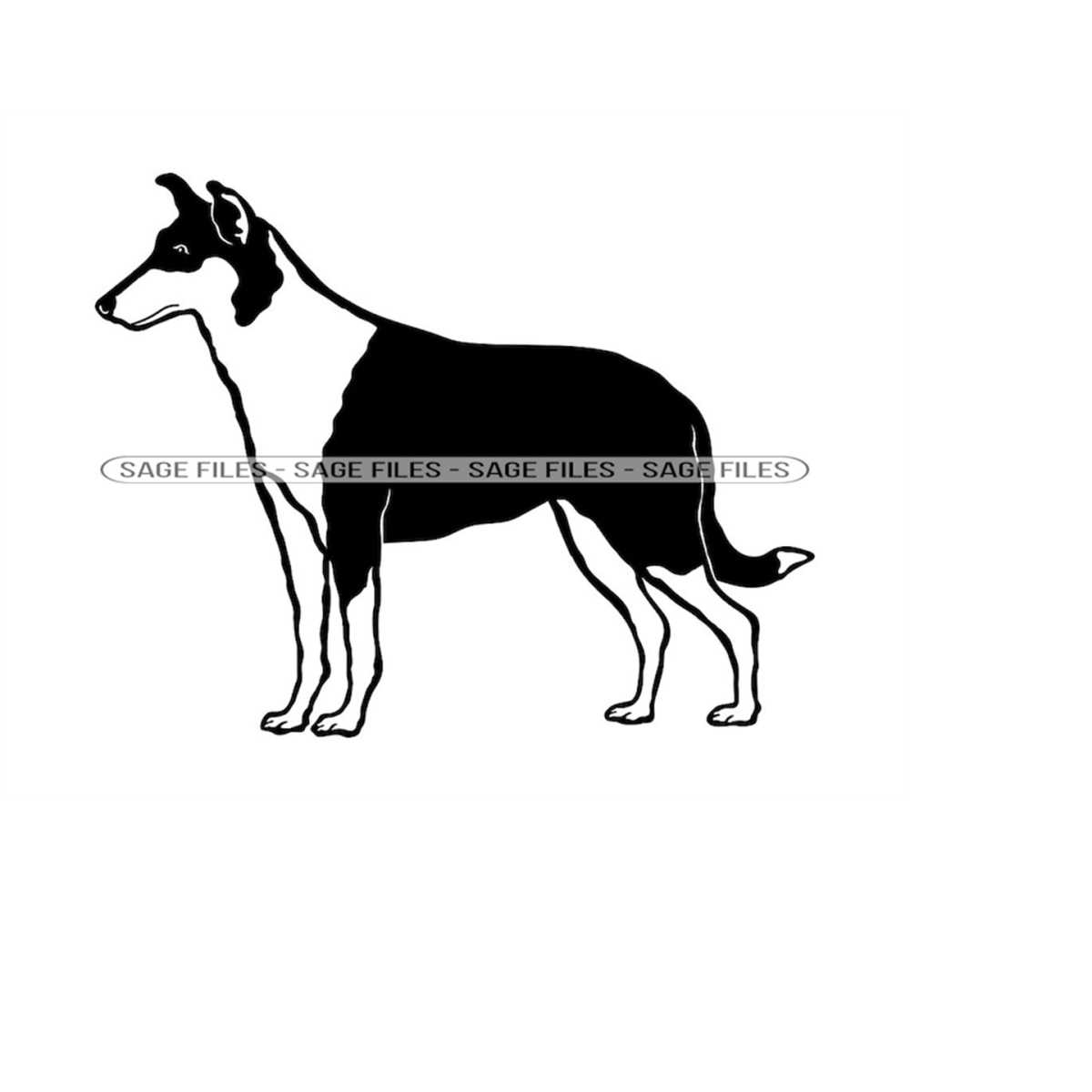 Smooth Collie SVG, Dog Svg, Smooth Collie Clipart, Smooth Co - Inspire ...