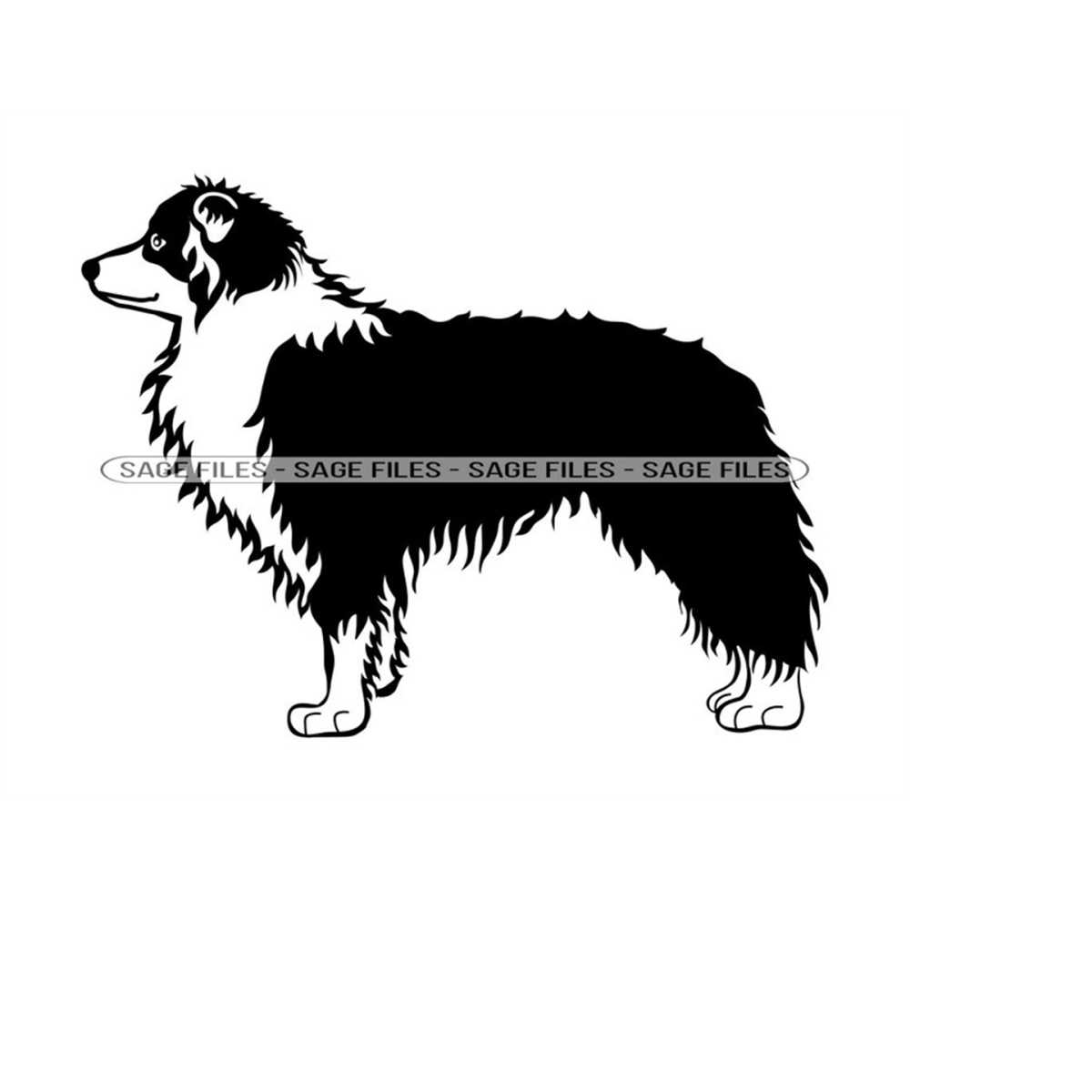 Border Collie SVG, Dog Svg, Border Collie Clipart, Border Co - Inspire ...