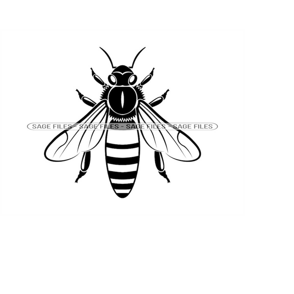 Bee 14 SVG, Bee Svg, Queen Bee Svg, Honey Svg, Bee Clipart, - Inspire ...