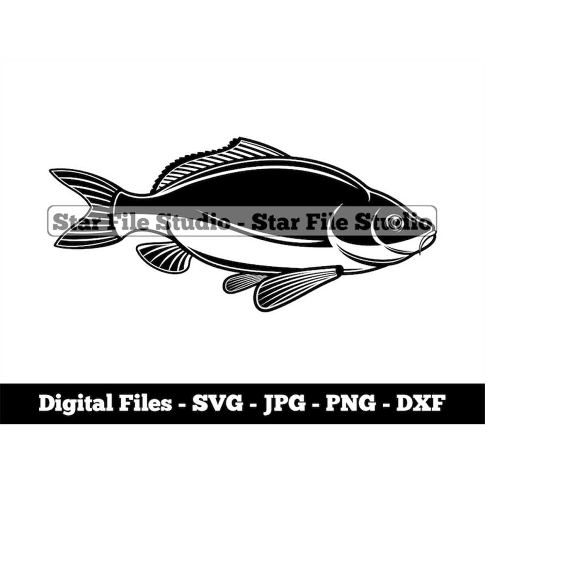 Carp 3 Svg, Fishing Svg, Fish Svg, Carp Png, Carp Jpg, Carp - Inspire ...