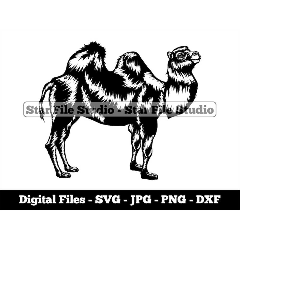 Bactrian Camel Svg, Camel Svg, Desert Animals Svg, Camel Png - Inspire ...
