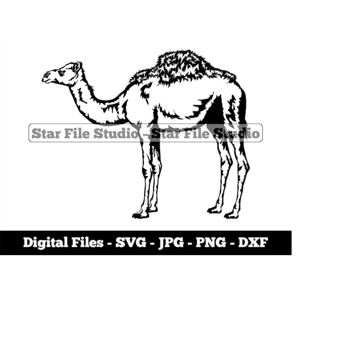 Camel Svg, Desert Animals Svg, Tourism Svg, Camel Png, Camel - Inspire ...