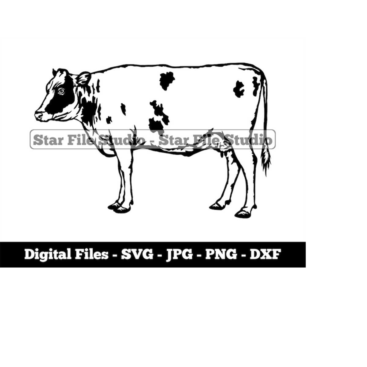 Dairy Cow Svg, Cow Svg, Dairy Cow Svg, Cattle Svg, Heifer Sv - Inspire ...