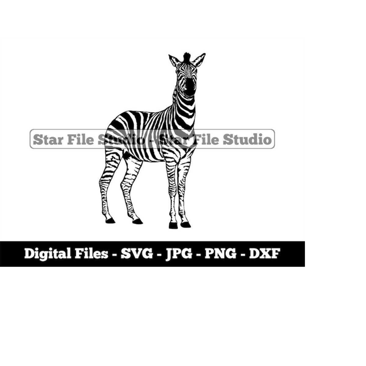 Zebra Svg, Safari Animals Svg, Africa Animals Svg, Zebra Png - Inspire ...