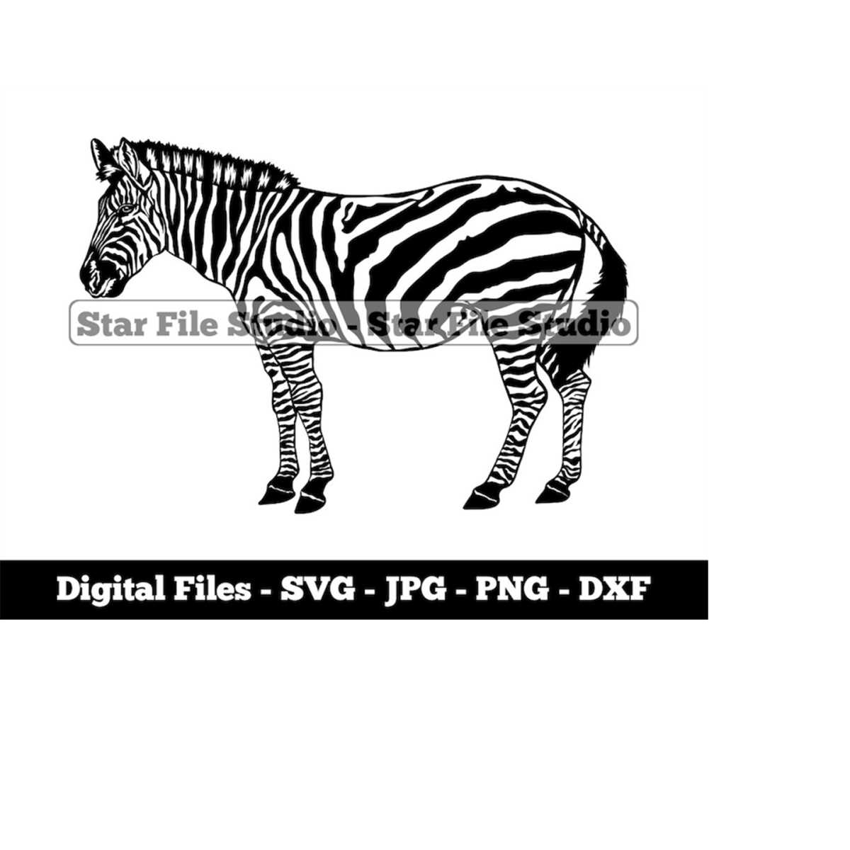 Zebra 3 Svg, Zebra Svg, Safari Animals Svg, Zebra Png, Zebra | Inspire ...