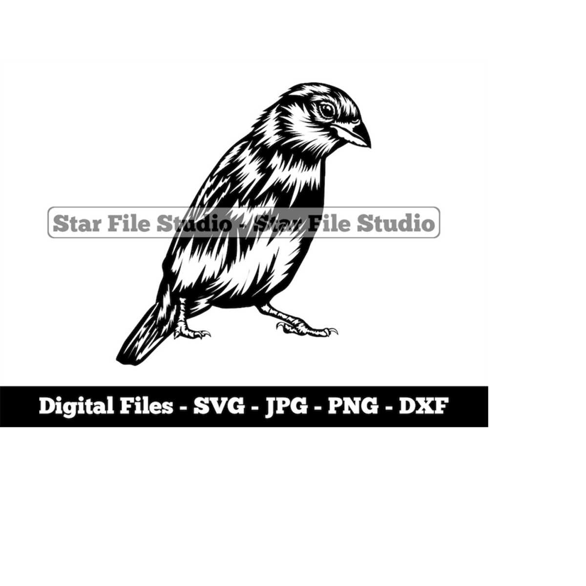 Sparrow Svg, Bird Svg, Birds Svg, Sparrow Png, Sparrow Jpg, | Inspire ...