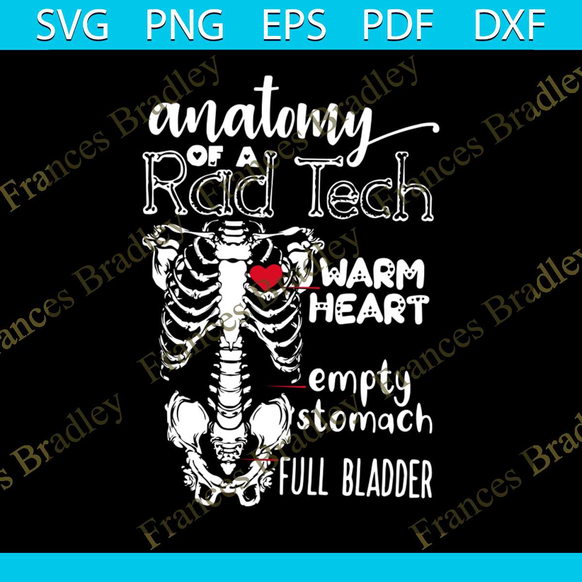 Anatomy Of A Rad Tech Warm Heart, Empty Stomach, Full Bladde | Inspire ...