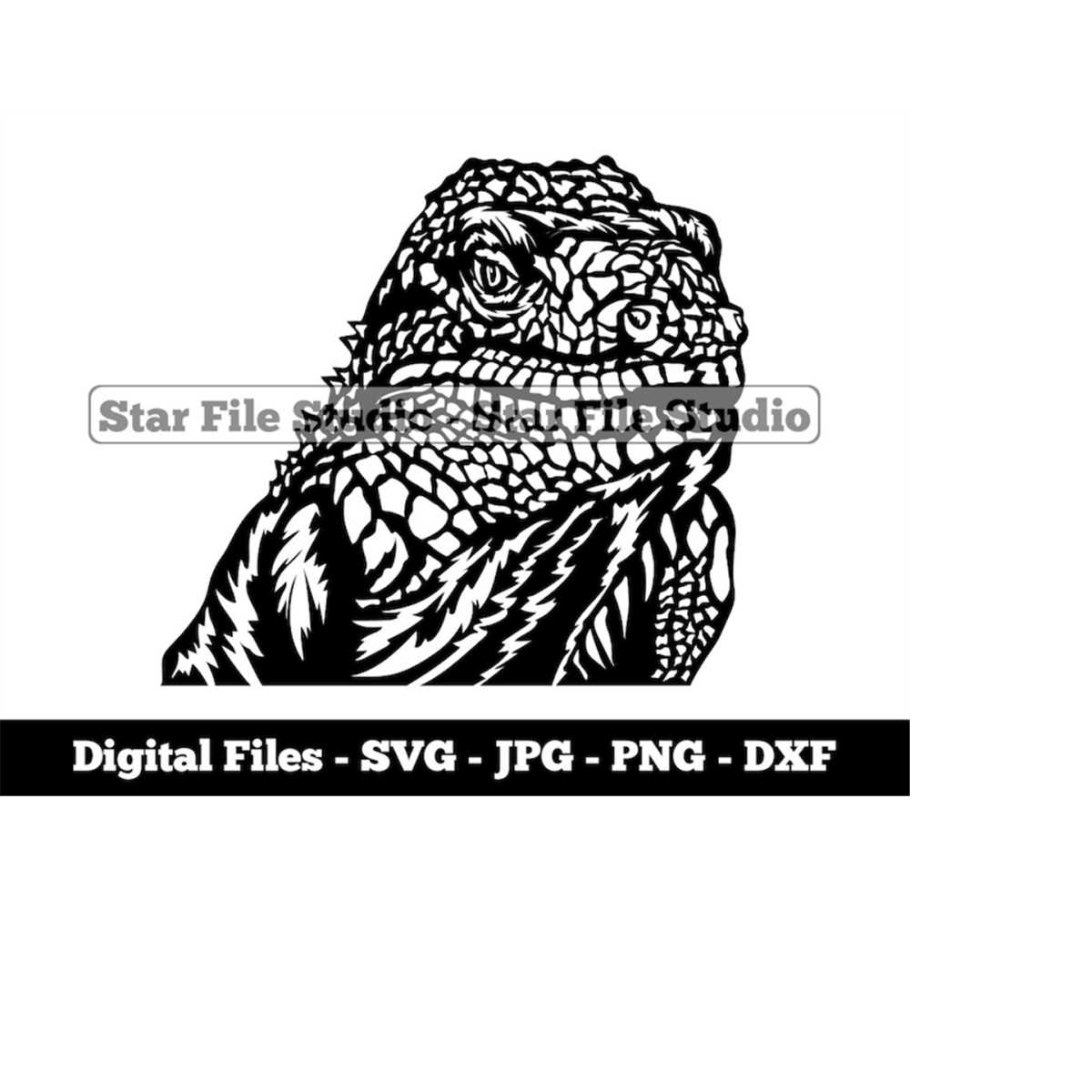 Iguana 2 Svg, Iguana Svg, Lizard Svg, Reptile Png, Reptile J - Inspire ...