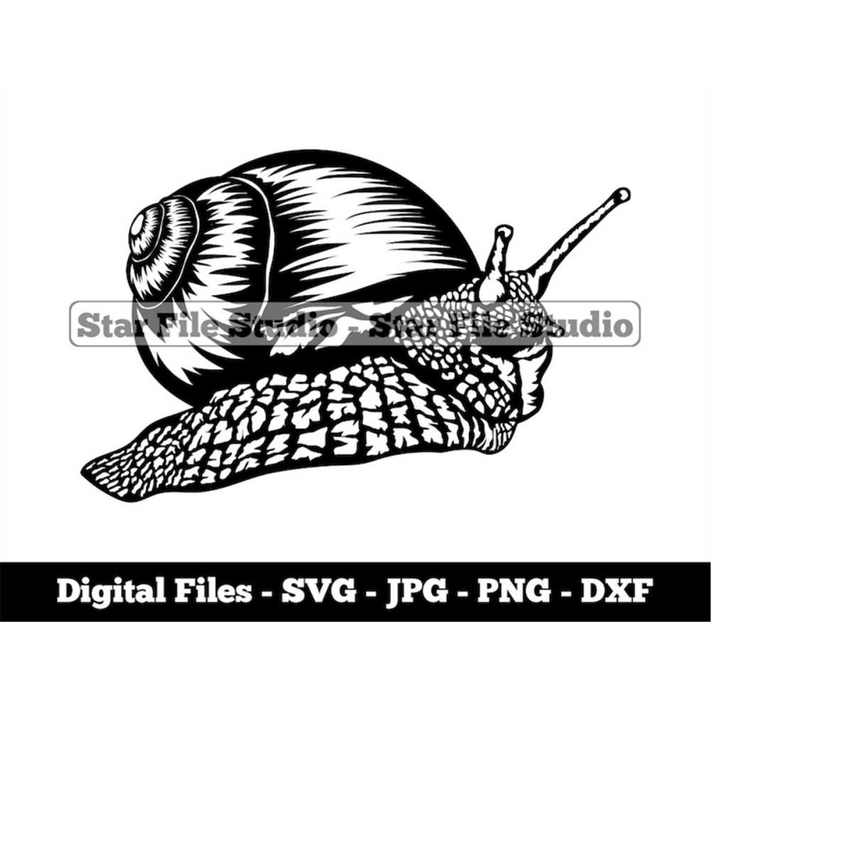 Snail Svg, Slow Svg, Crawling Svg, Snail Png, Snail Jpg, Sna | Inspire ...