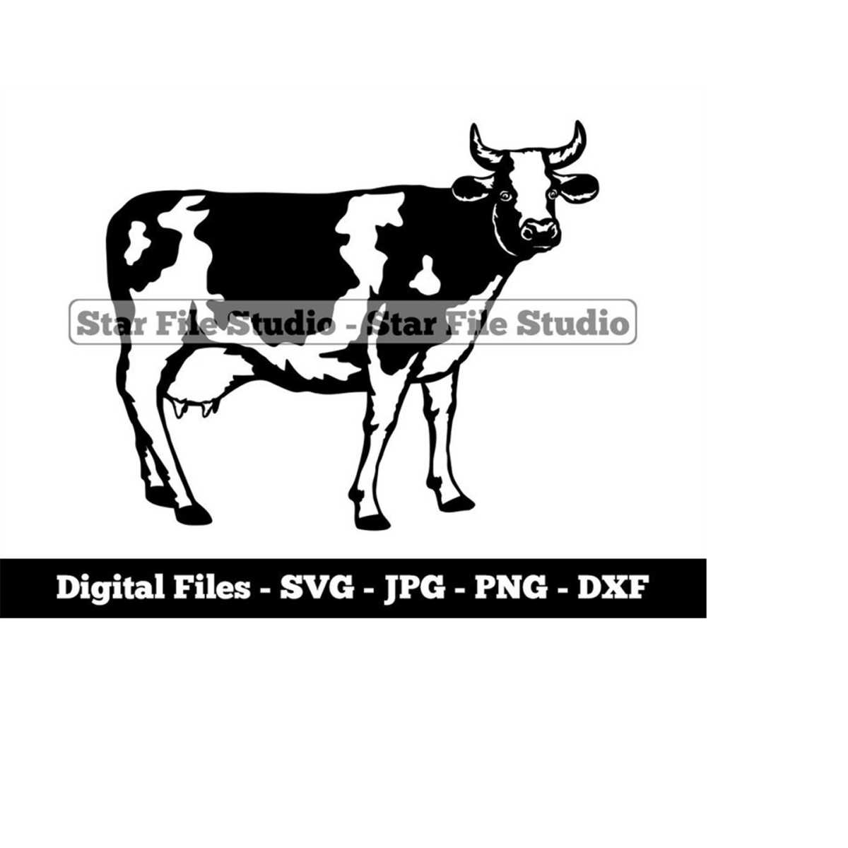 Holstein Cow Graphic
