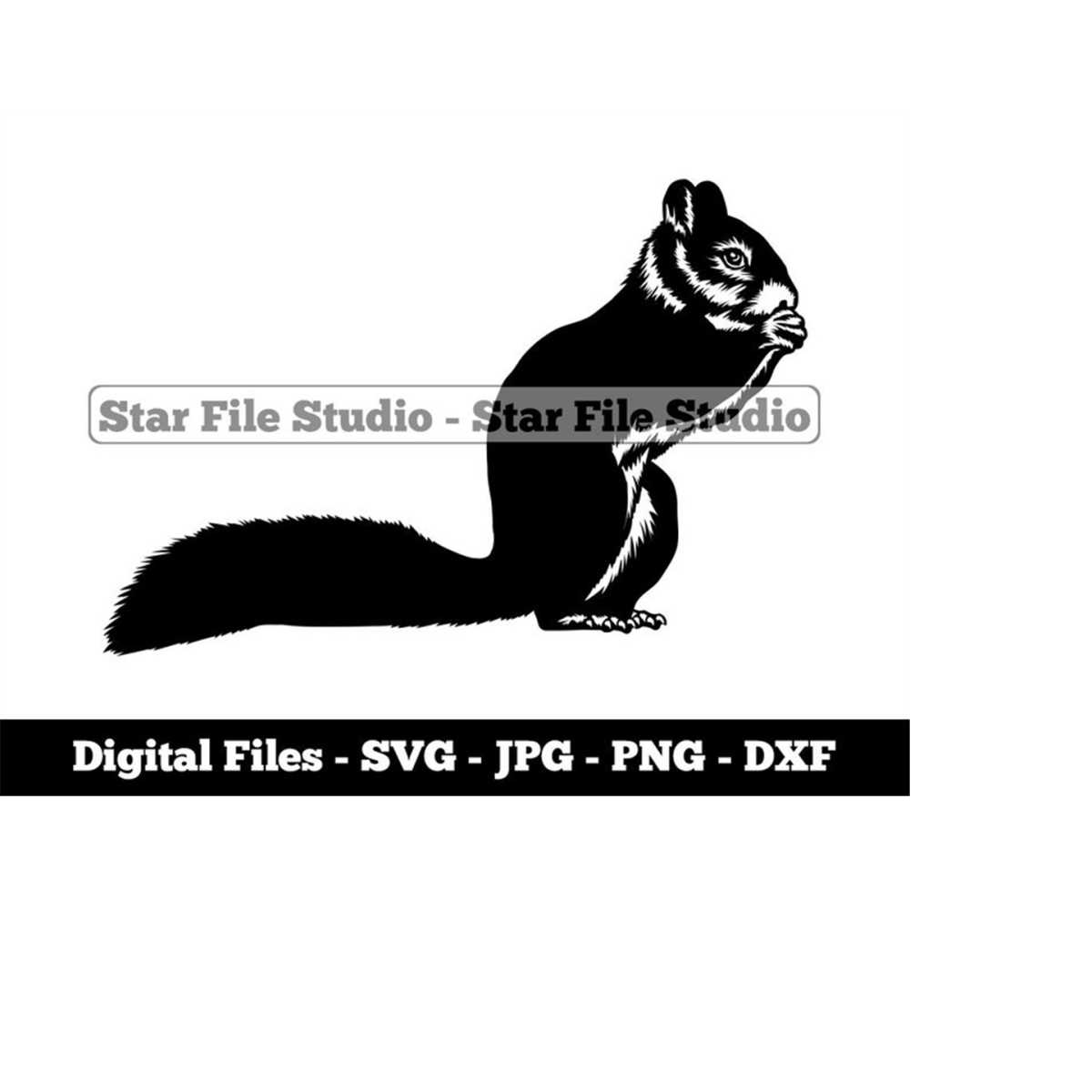 Squirrel 6 Svg, Squirrel Svg, Forest Animals Svg, Squirrel P - Inspire ...