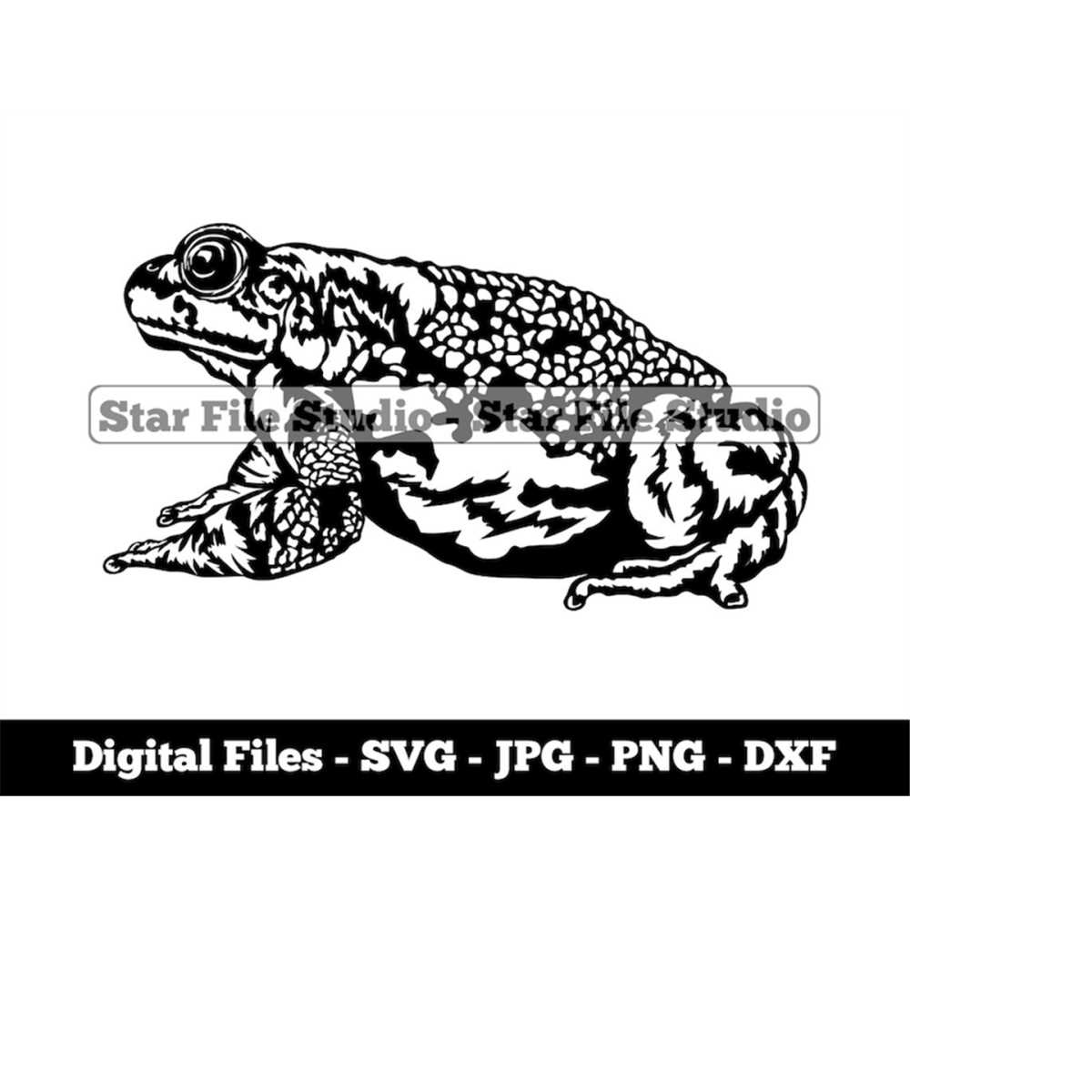 Toad 3 Svg, Toad Svg, Frog Svg, Toad Png, Toad Jpg, Toad Fil - Inspire ...