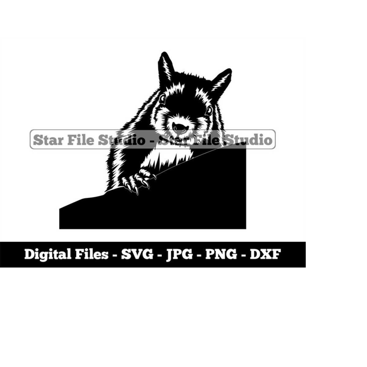 Squirrel Svg, Forest Animals Svg, Squirel Svg, Squirrel Png, - Inspire ...