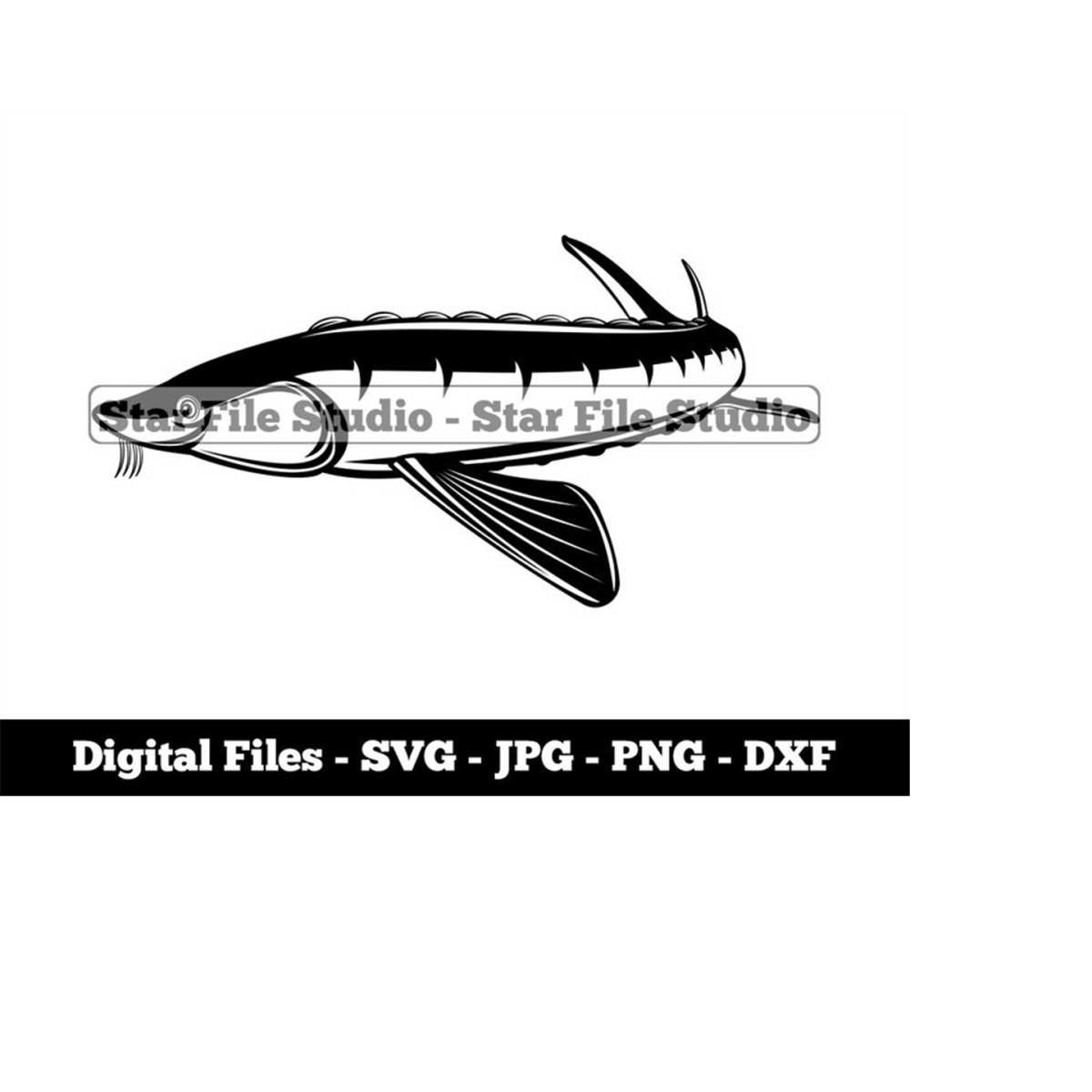 Sturgeon 2 Svg, Fishing Svg, Fish Svg, Sturgeon Png, Sturgeo - Inspire ...