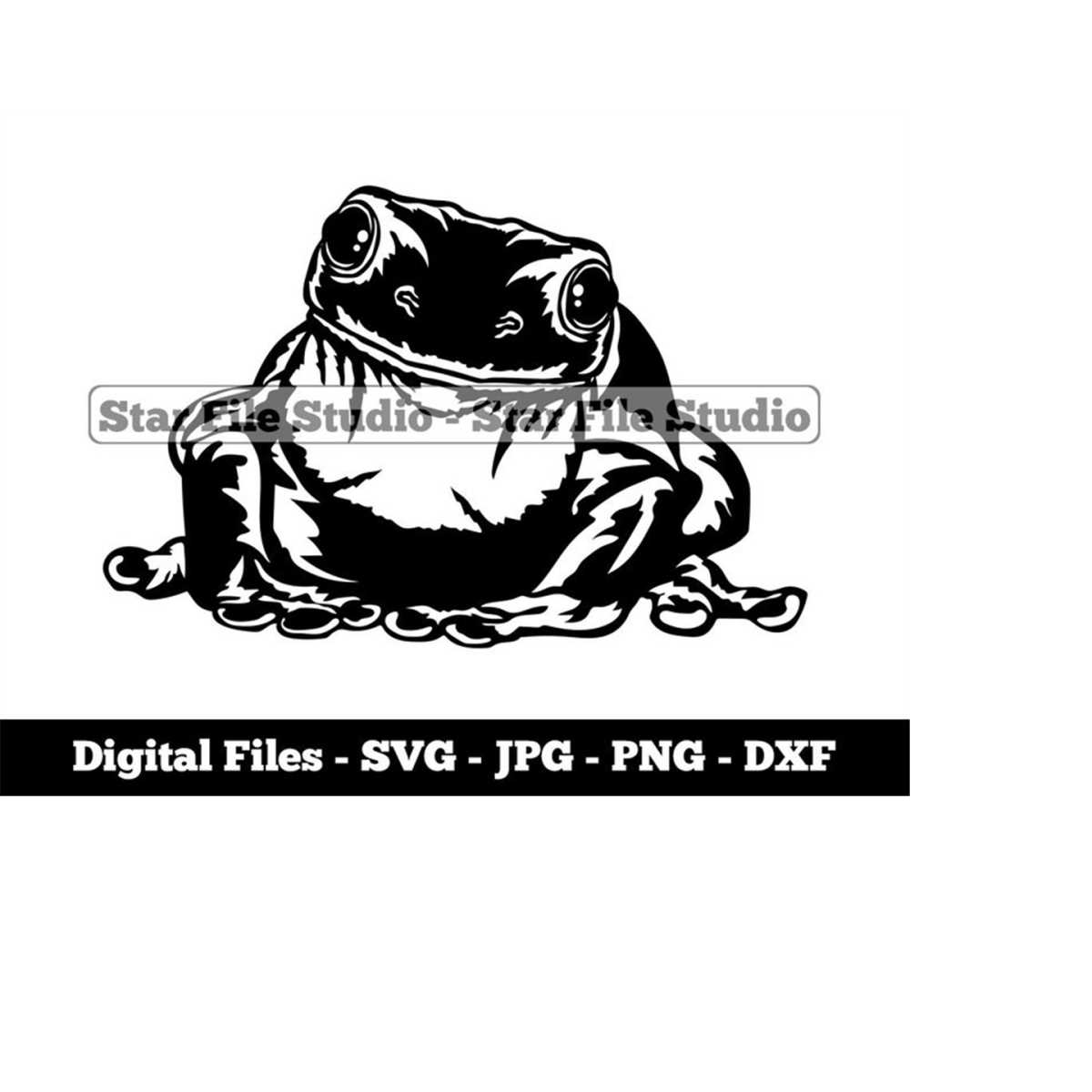 Frog 3 Svg, Frog Svg, Amphibian Svg, Frog Png, Frog Jpg, Fro | Inspire ...