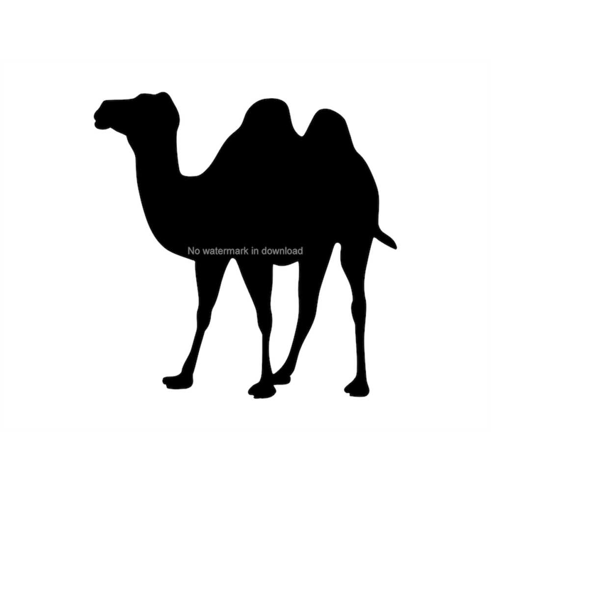 Camel Svg Dxf Png Cut File, Camel Image Svg, Camel Svg Clipa - Inspire ...