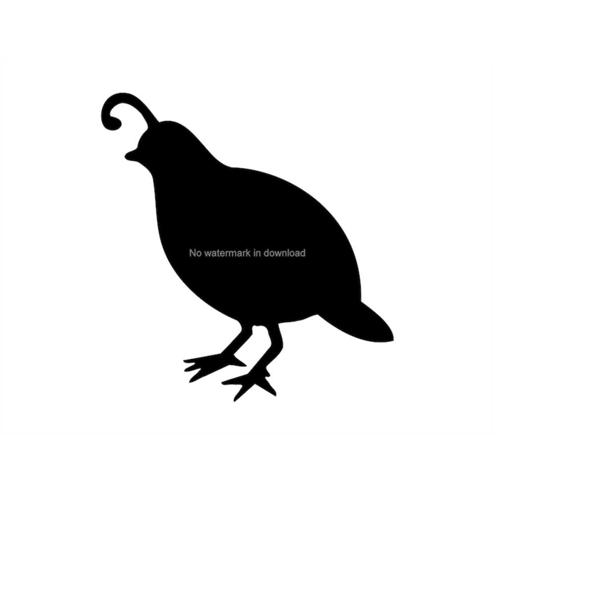 Quail Laser Svg, Quail Printable Images, Quail Image, Quail - Inspire ...