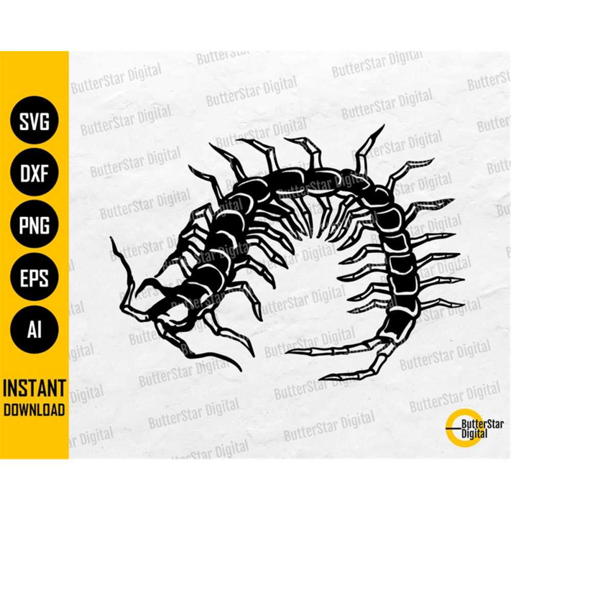 Centipede SVG | Insect SVG | Animal Illustration Drawing Gra | Inspire ...