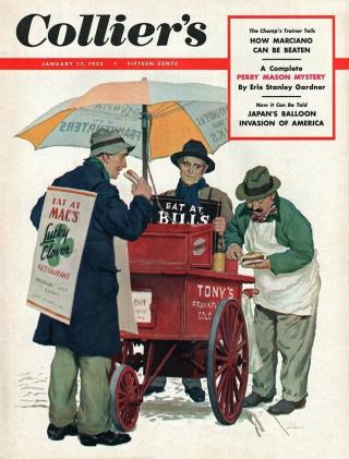 The Case of the Irate Witness - Gardner Earl Stanley - Perr | Inspire ...