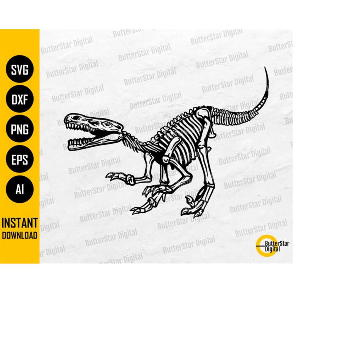 Raptor Skeleton SVG | Velociraptor SVG | Dinosaur Decals Shi - Inspire ...
