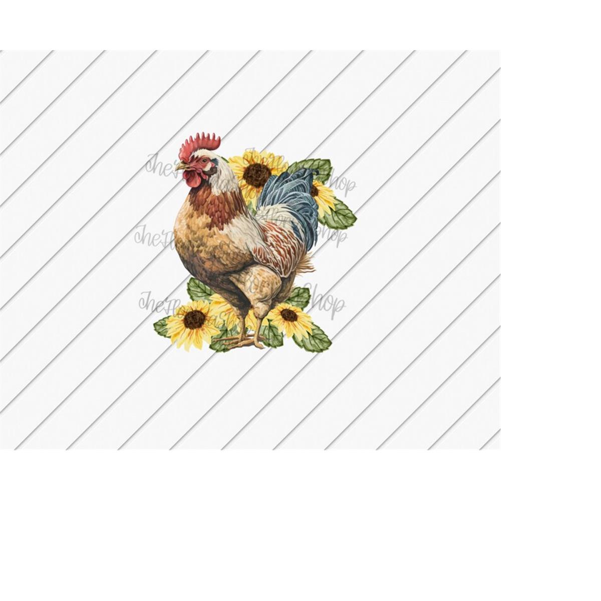 Chicken Sunflower png, Chicken png, Farm Animal png, Western | Inspire ...