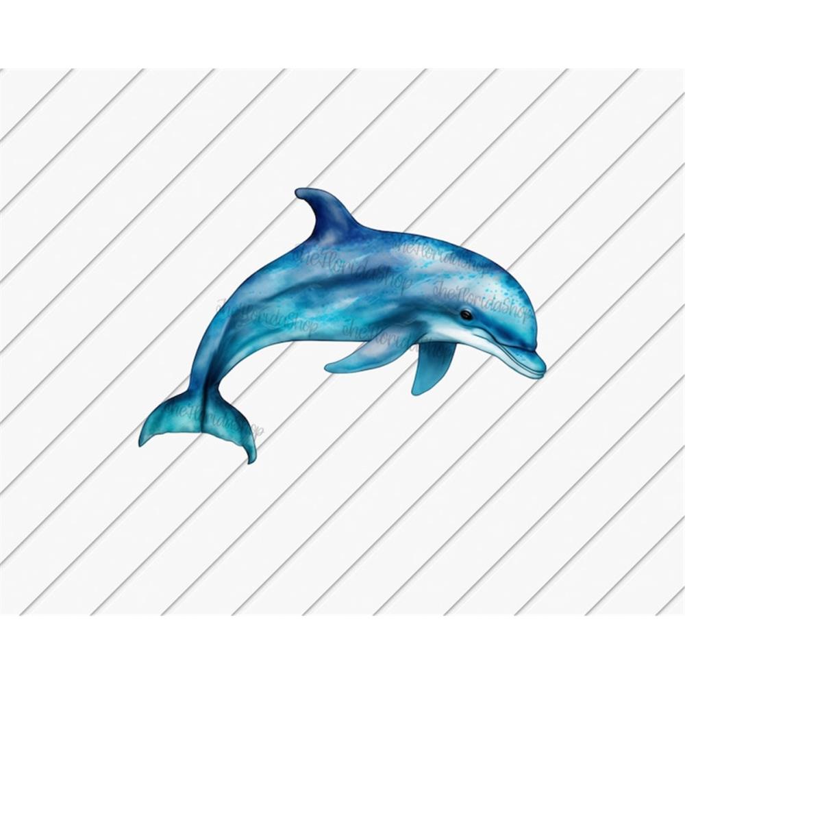 Dolphin png, Clip art png, Ocean Lover, Dolphin Illustration | Inspire ...