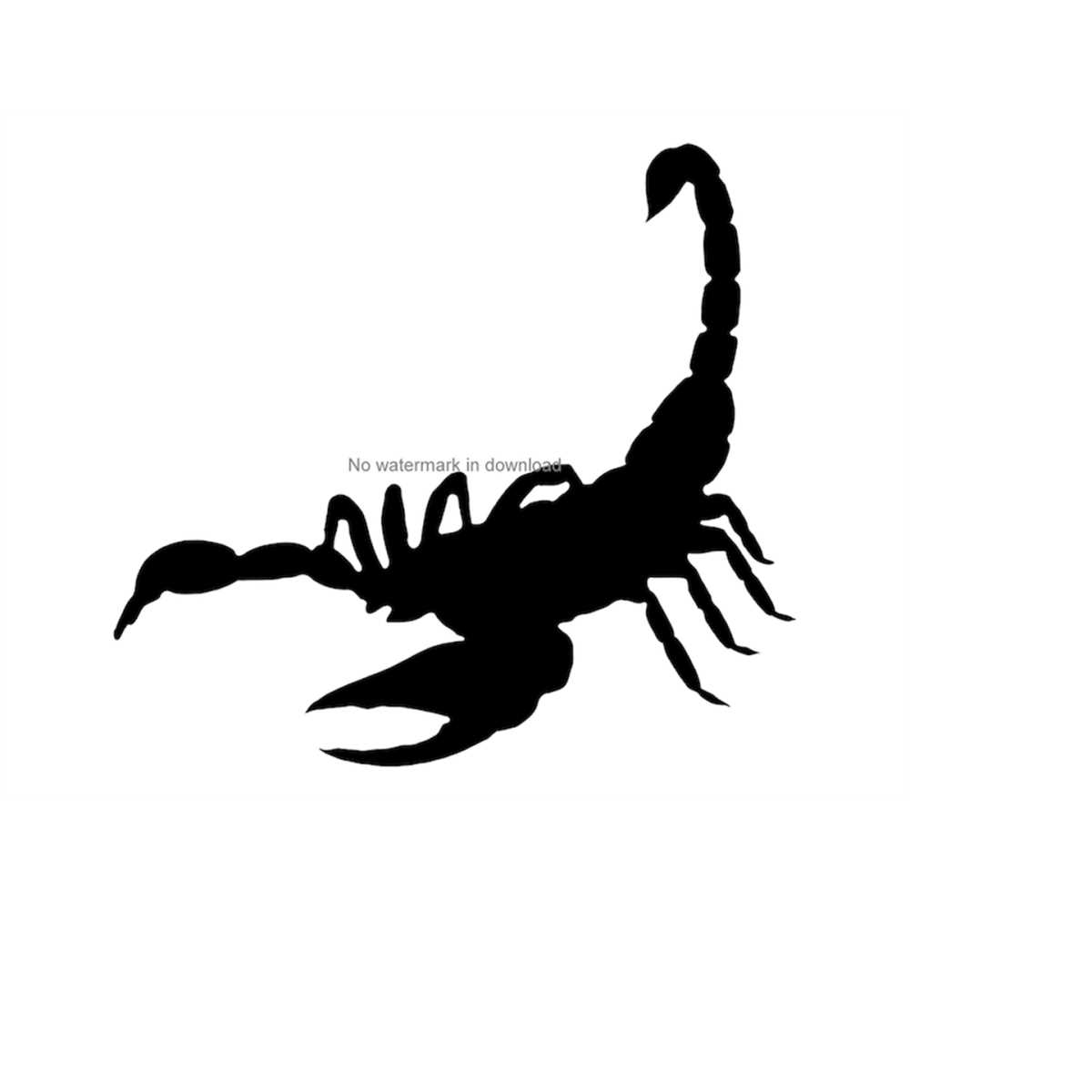Scorpion Svg Cutting Image, Scorpio Cutting File, Desert Sco - Inspire ...